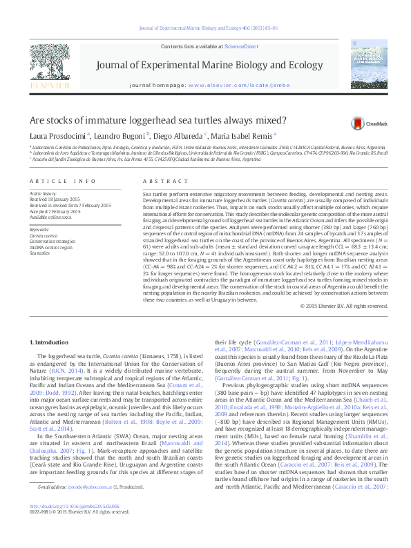 (PDF) Are stocks of immature loggerhead sea turtles always mixed?