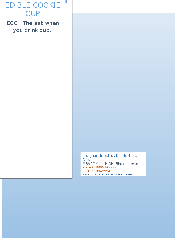 (DOC) Business Plan for edible cookie cup