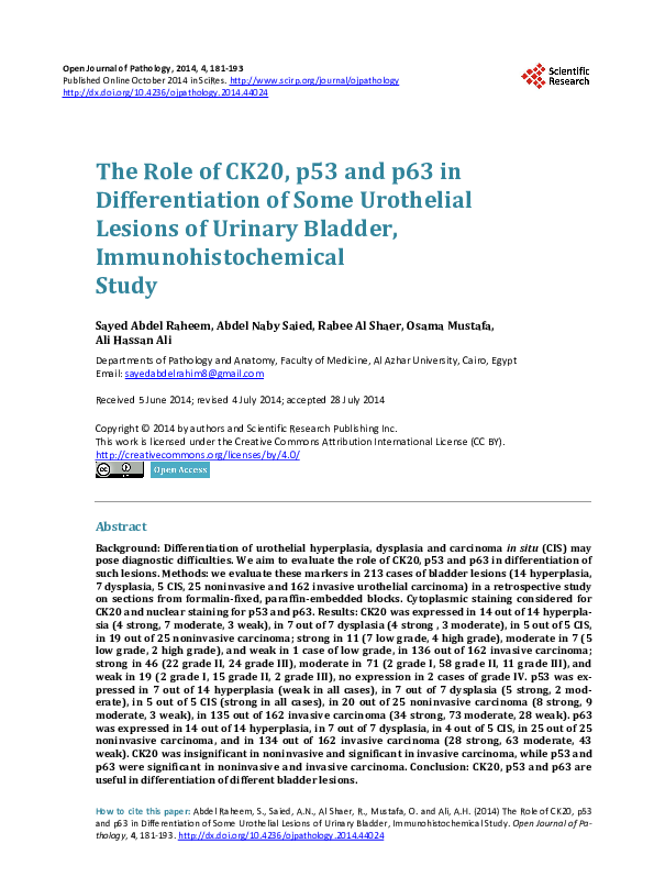 (PDF) The Role of CK20, p53 and p63 in Differentiation of Some ...