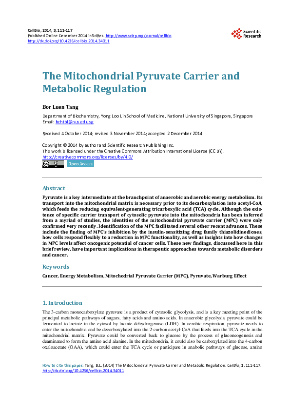 (PDF) The Mitochondrial Pyruvate Carrier and Metabolic Regulation