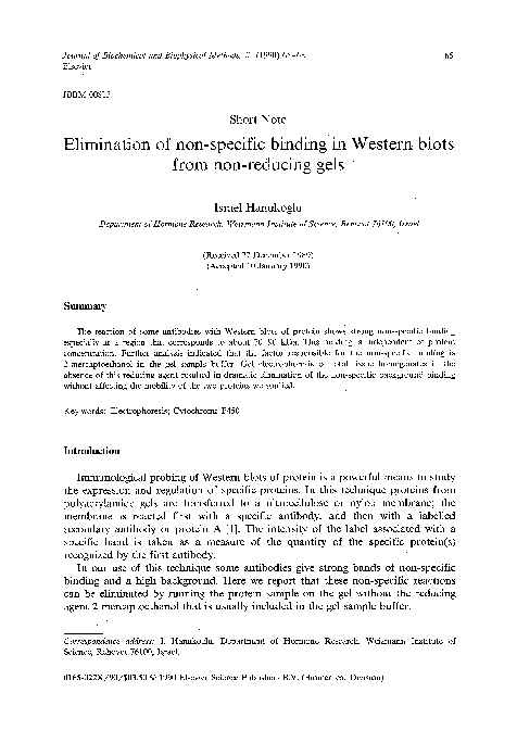 (PDF) Elimination of non-specific binding in Western blots from non ...