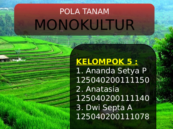 (PPT) Pola Tanam Monokultur