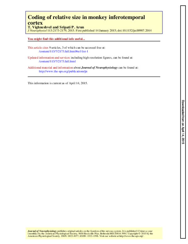 (PDF) Coding of relative size in monkey inferotemporal cortex.