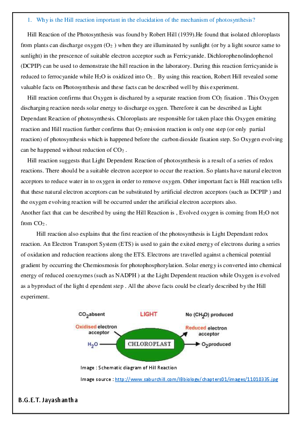 (PDF) Why is the Hill reaction important in the elucidation of the ...