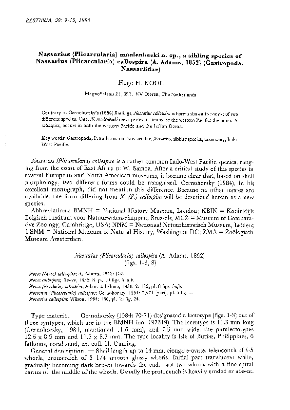 (PDF) Nassarius (Plicarcularia) moolenbeeki n. sp., a sibling species ...