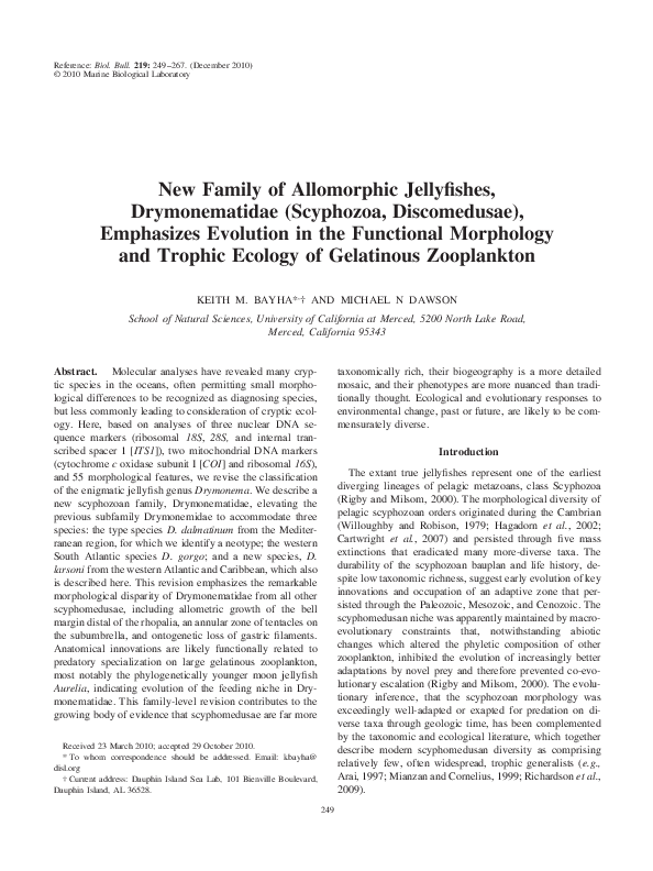 (PDF) New family of allomorphic jellyfishes, Drymonematidae (Scyphozoa ...