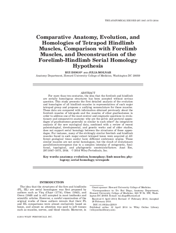 (PDF) Comparative Anatomy, Evolution, and Homologies of Tetrapod ...