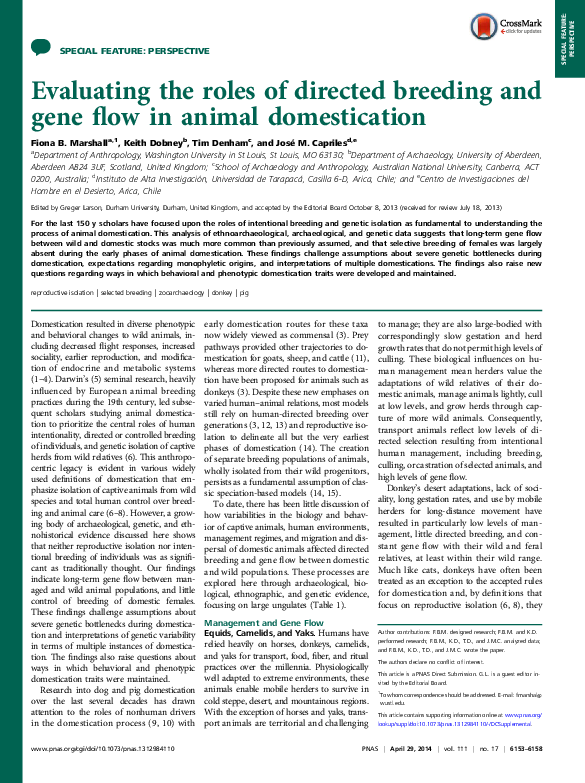 Evaluating the roles of directed breeding and gene flow in animal ...