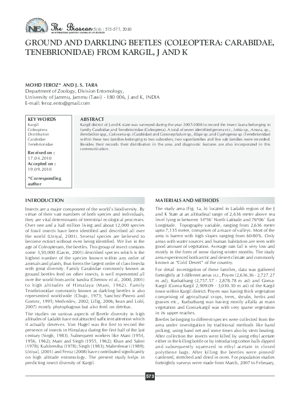 (PDF) ground and darkling beetles from kargil
