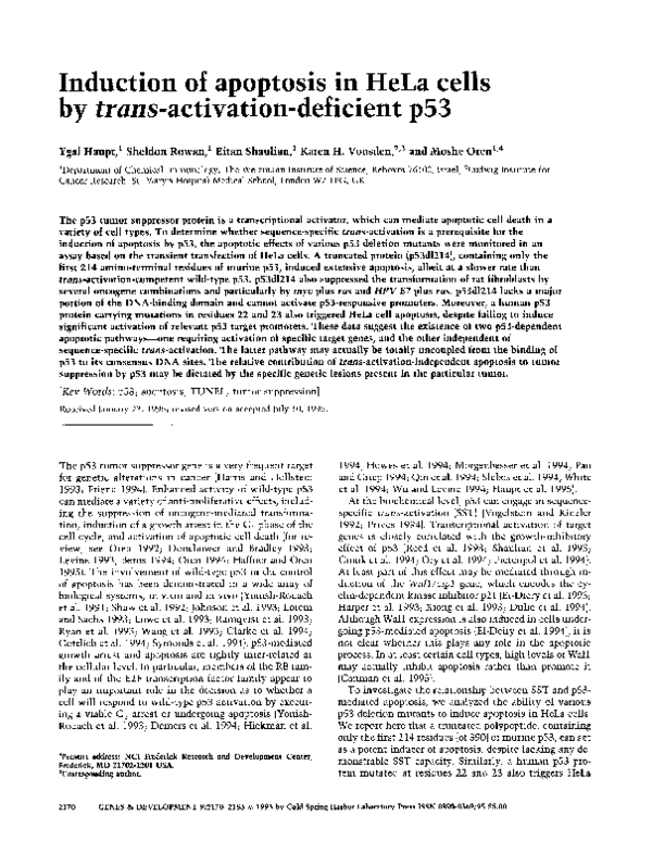 (PDF) Induction of apoptosis in HeLa cells by trans-activation ...