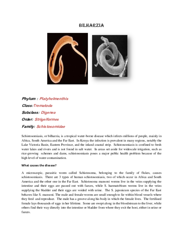 (PDF) BILHARZIA