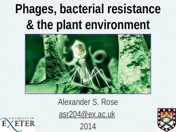 (PPT) Phages, bacterial resistance and the plant environment ...
