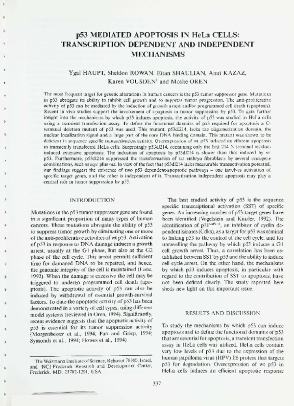 (PDF) p53 MEDIATED APOPTOSIS IN HeLa CELLS: TRANSCRIPTION DEPENDENT AND ...