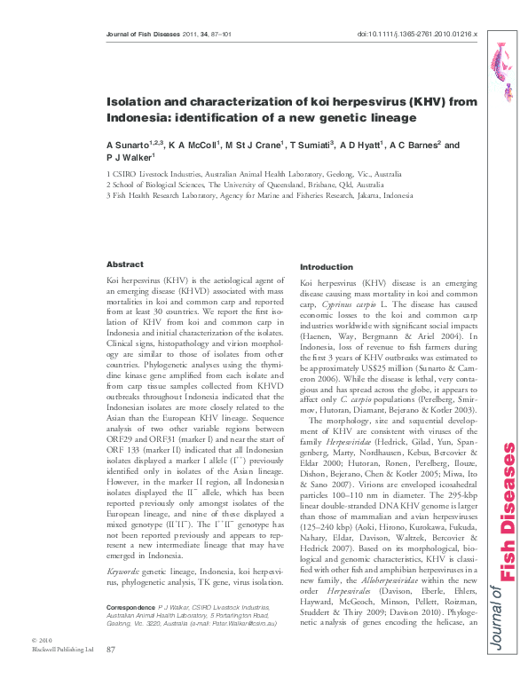 (PDF) Isolation and characterization of koi herpesvirus (KHV) in ...