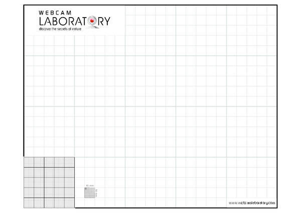 (PDF) Sizing template metric