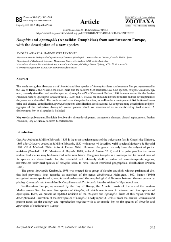 (PDF) Onuphis and Aponuphis (Annelida: Onuphidae) from southwestern ...
