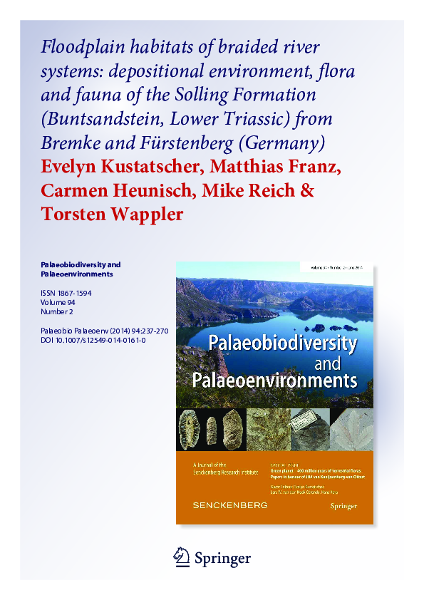 (PDF) Floodplain habitats of braided river systems: depositional ...