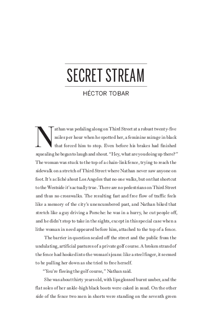 (PDF) Secret Stream, a short story