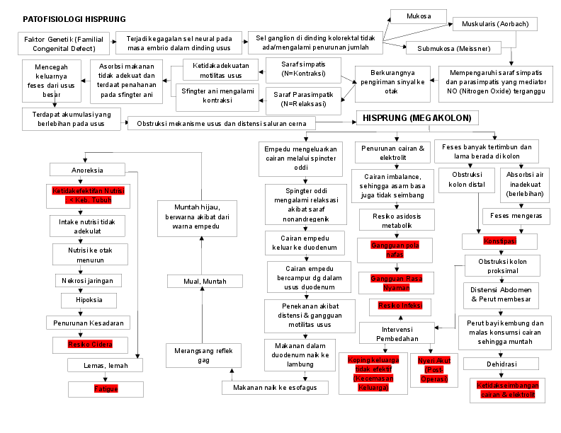 Patofisiologi Hisprung
