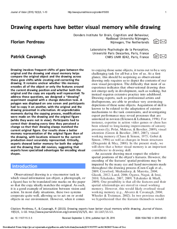 (PDF) Drawing experts have better visual memory while drawing