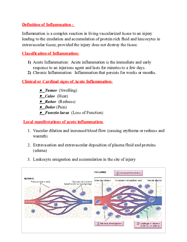 (DOC) Inflammation ( Pathology )