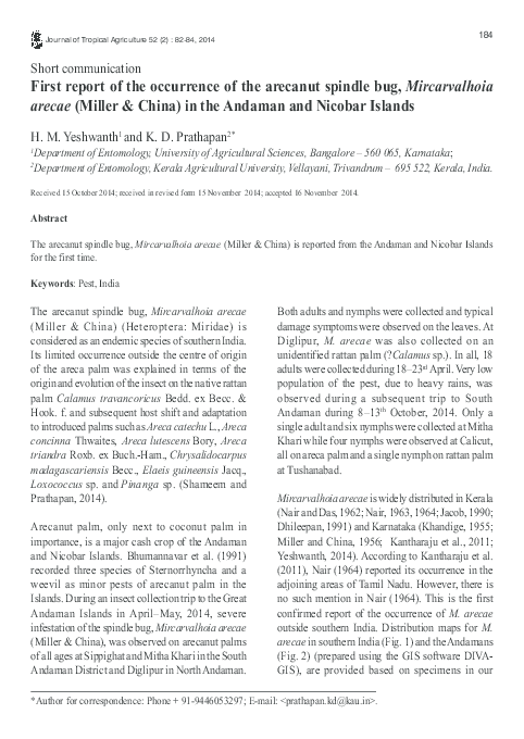 (PDF) First report of the occurrence of the arecanut spindle bug ...