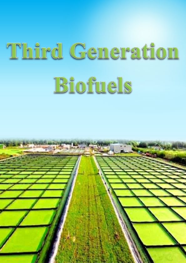 (PDF) Third Generation Biofuels