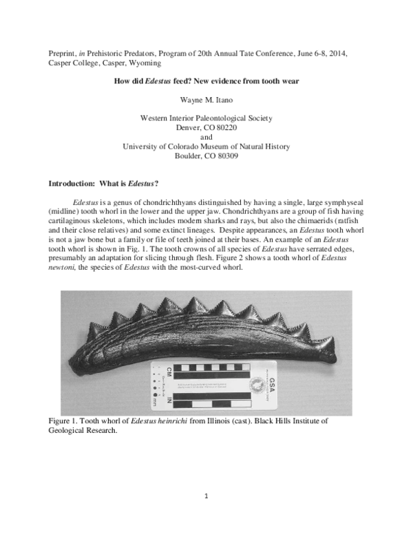 (PDF) How did Edestus feed? New evidence from tooth wear (preprint)