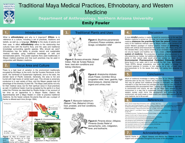 (PPT) Traditional Maya Medical Practices, Ethnobotany, and Western Medicine