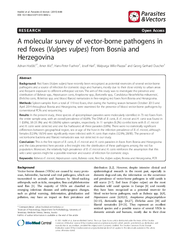 (PDF) A molecular survey of vector-borne pathogens in red foxes (Vulpes vulpes) from Bosnia and ...