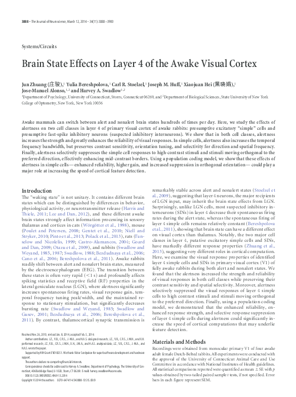 (PDF) Brain state effects on layer 4 of the awake visual cortex