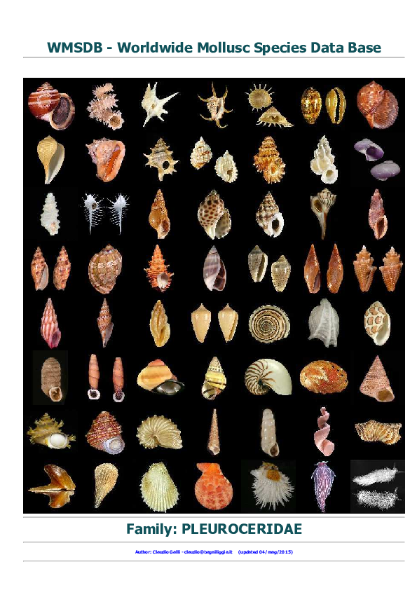 (PDF) WMSDB: Pleuroceridae Mollusc Species Catalog