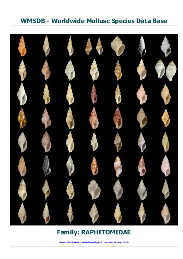 (PDF) WMSDB -Worldwide Mollusc Species Data Base - Family RAPHITOMIDAE