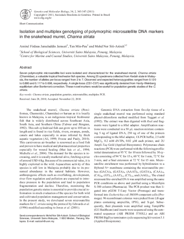 Pdf Isolation And Multiplex Genotyping Of Polymorphic Microsatellite
