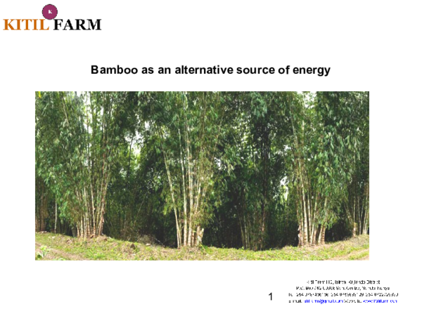 (PPT) Bamboo as an alternative source of energy