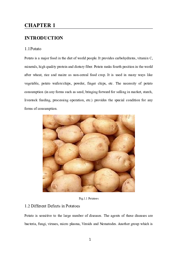 (DOC) pototo surface defect detection