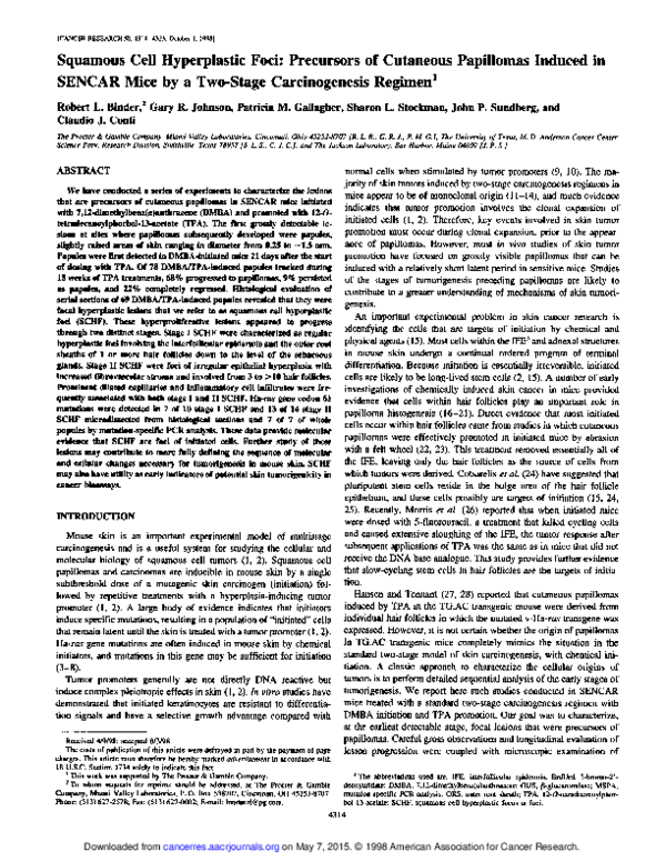 (PDF) Squamous cell hyperplastic foci: precursors of cutaneous ...