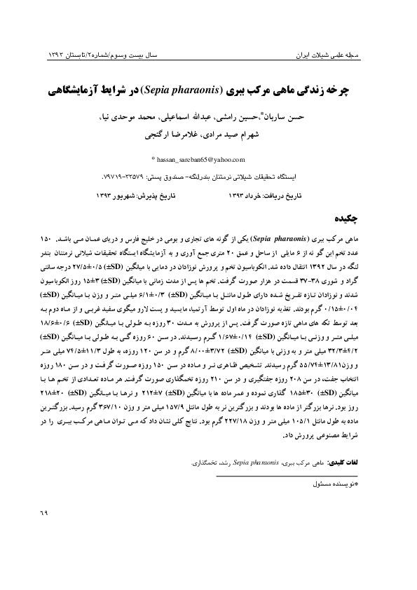 (PDF) life cycle of sepia pharaonis