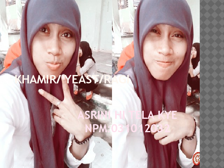 (PPT) KHAMIR/ YEAST/RAGI'Riny