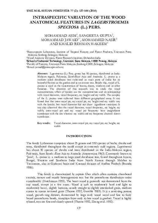 (PDF) INTRASPECIFIC VARIATION OF THE WOOD ANATOMICAL FEATURES IN ...
