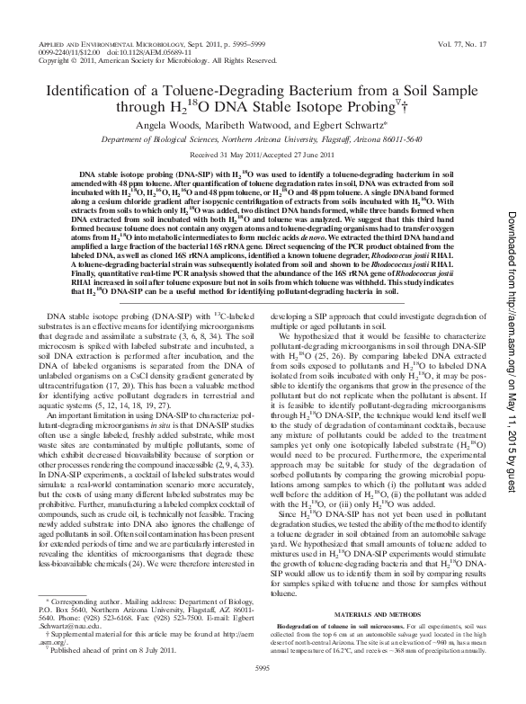 Identification of a Toluene-Degrading Bacterium from a Soil Sample ...