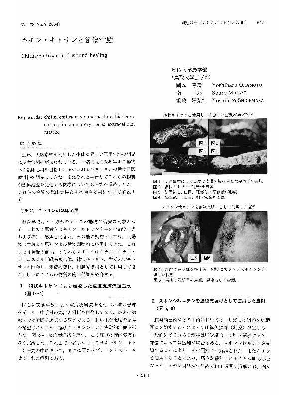 (PDF) Japan-chitosan and wound healing