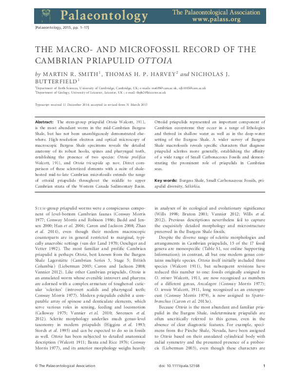(PDF) The macro- and microfossil record of the Cambrian priapulid Ottoia