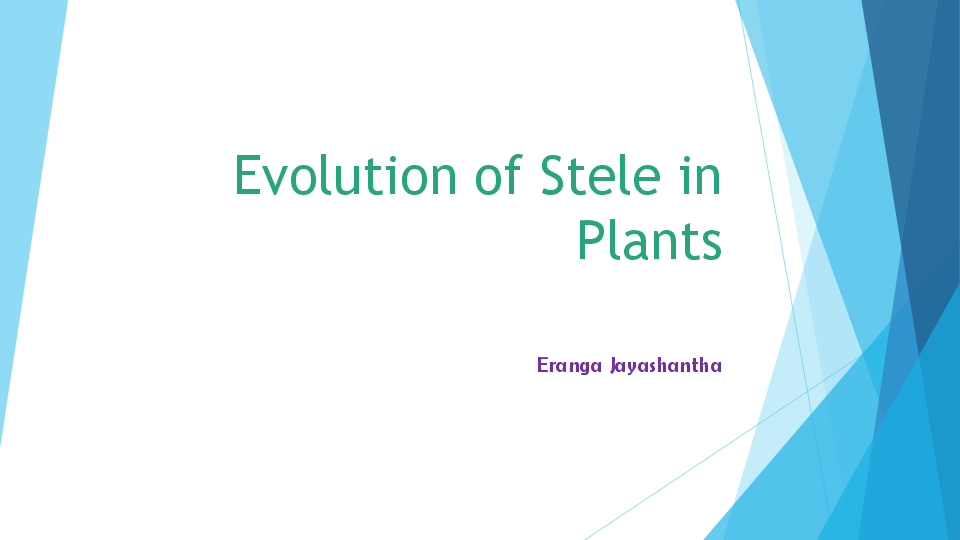 (PDF) Evolution of Stele in Plants