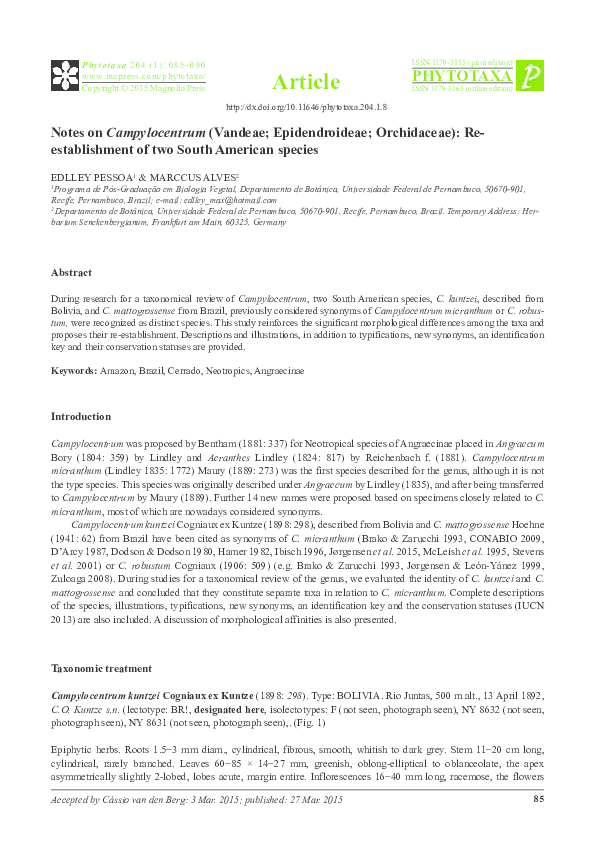 (PDF) Notes on Campylocentrum (Vandeae; Epidendroideae; Orchidaceae ...