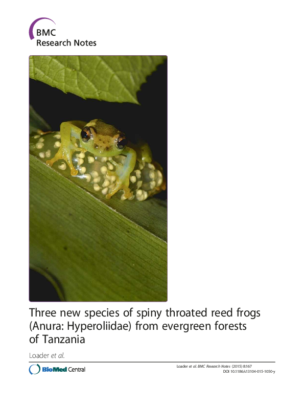 (PDF) Three new species of spiny throated reed frogs (Anura ...