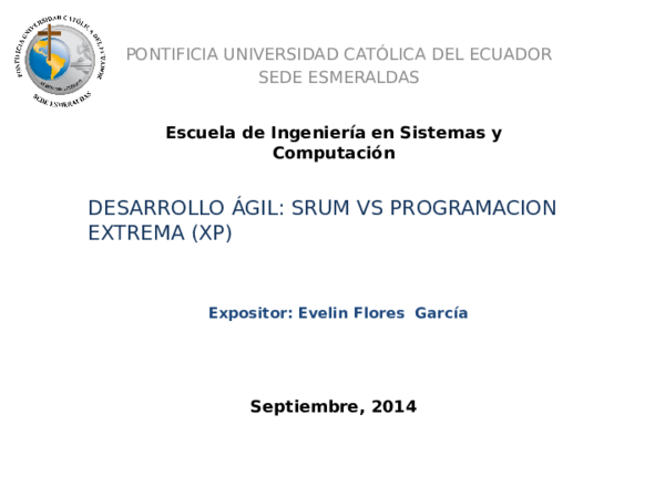 (PPT) Presentacion Programacion Agil