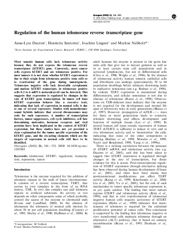 Pdf Regulation Of The Human Telomerase Reverse Transcriptase Gene