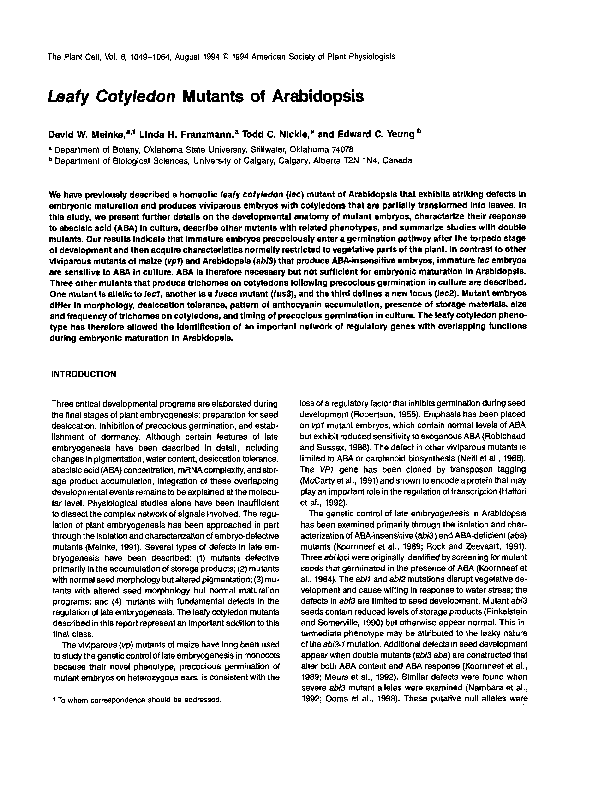 (PDF) Leafy Cotyledon Mutants of Arabidopsis
