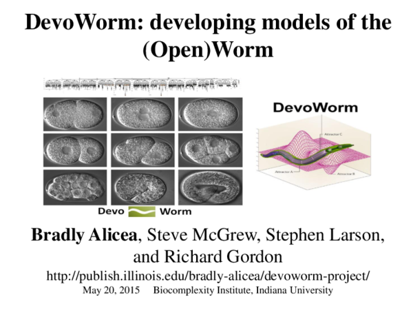 (PDF) DevoWorm: developing models of the (Open)Worm
